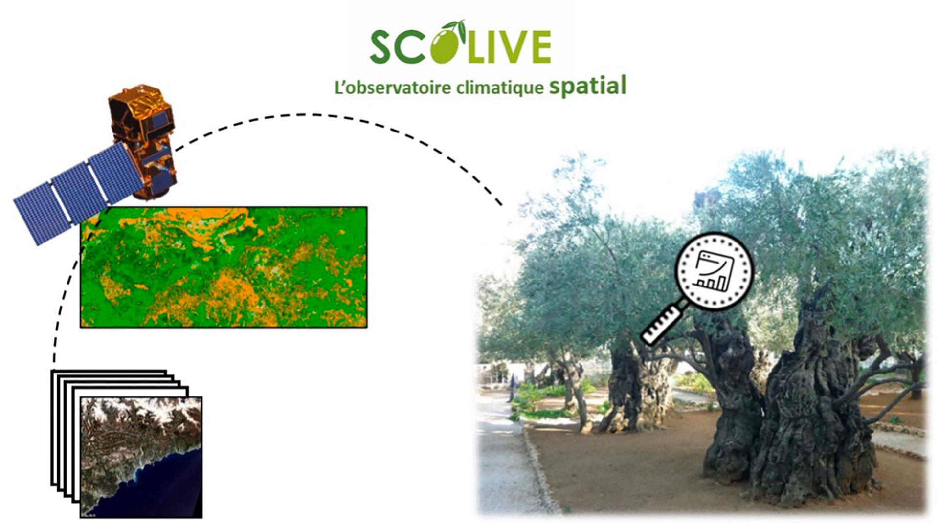 Space Climate Observatory